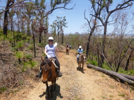 Adults Riding For Fun and Fitness | Capricorn Equestrian Centre
